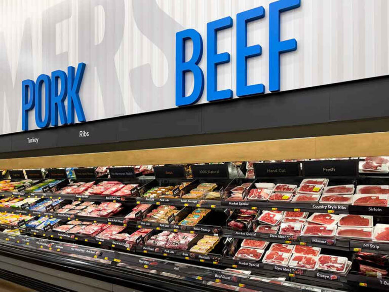Flesh-Eating Maggots DEVASTATE U.S Cattle! | Conservative Hub
